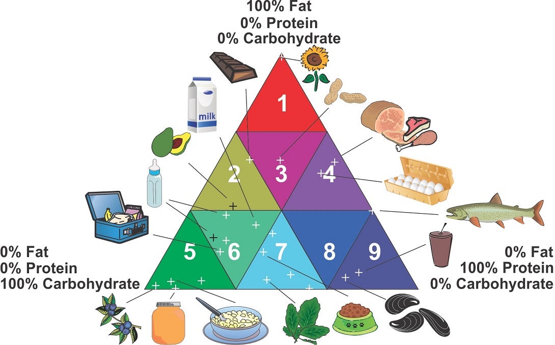 How the Nutrition Facts Label Has Changed Food in the U.S. | Scientific ...