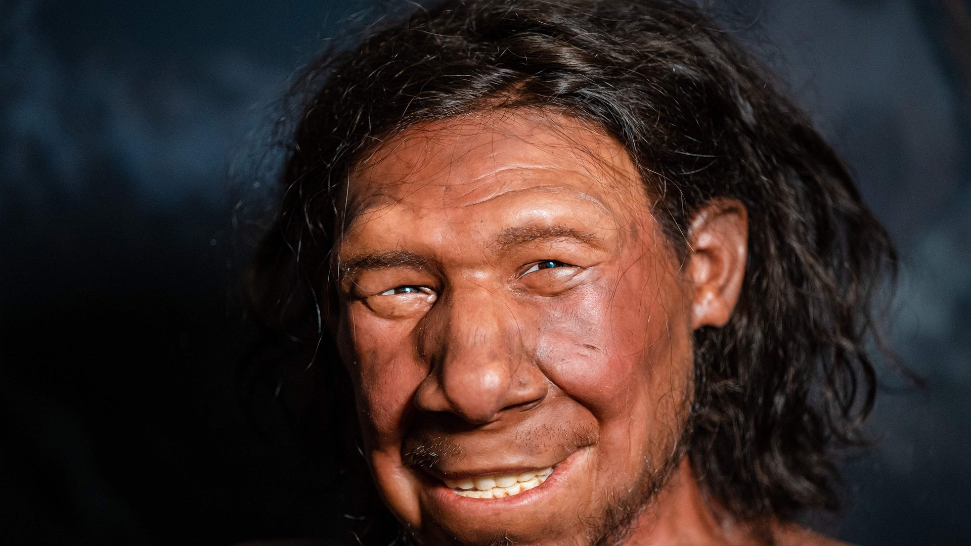 Neanderthal Face Reconstruction New Research Shows That Neanderthals