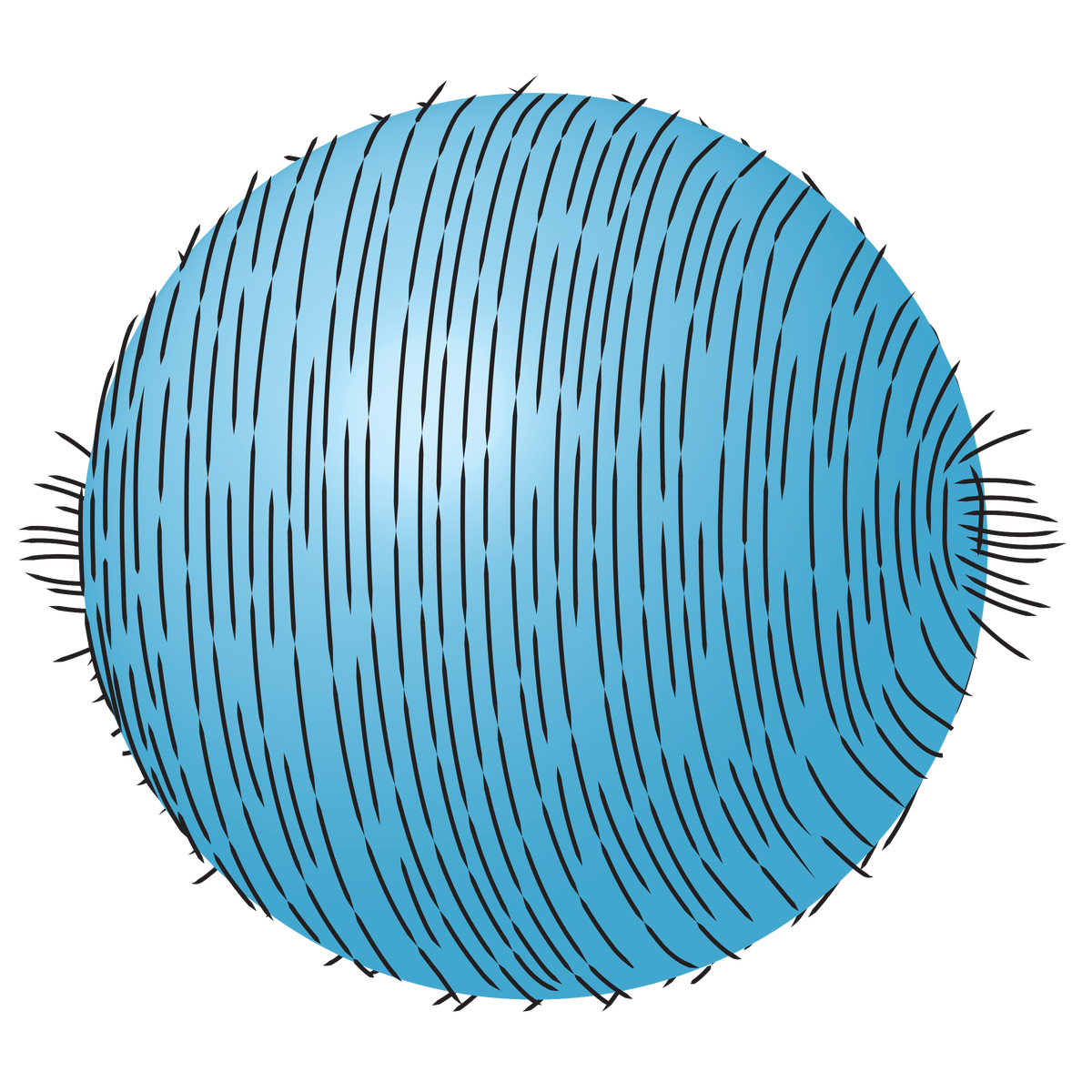 Math's 'Hairy Ball Theorem' Has Surprising Implications | Scientific ...