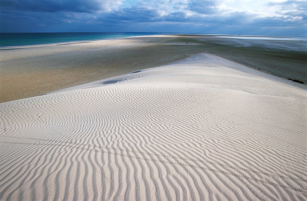 Where Does Beach Sand Come From? | Scientific American
