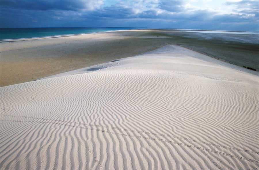 Where Does Beach Sand Come From? | Scientific American