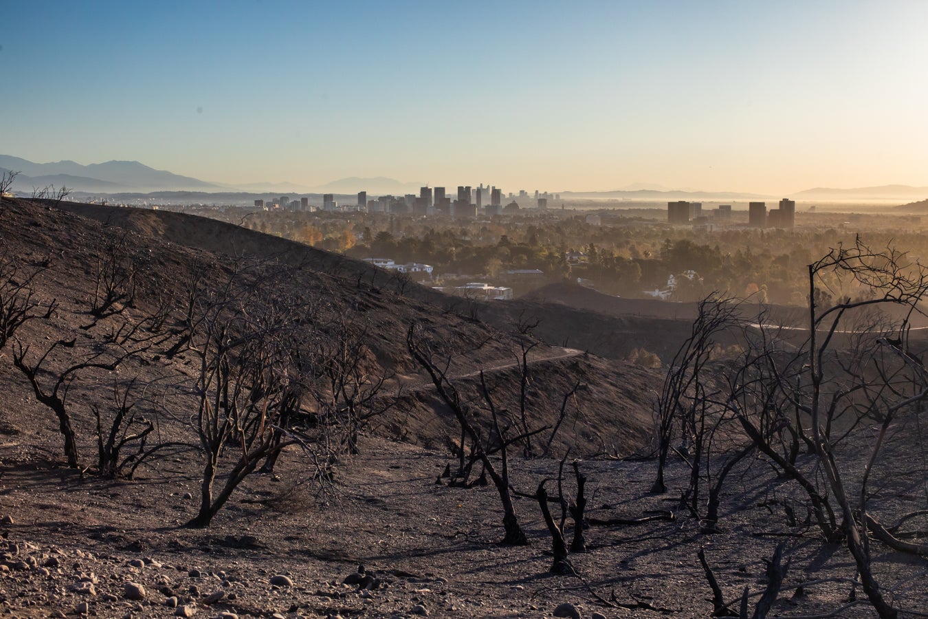Rain Poses Landslide Risk in Wildfire-Scarred Los Angeles | Scientific ...