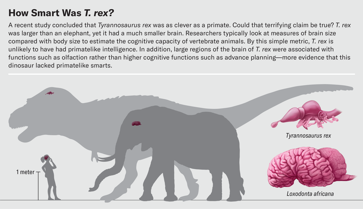 How Did Dinosaurs See, Smell, Hear and Move? | Scientific American