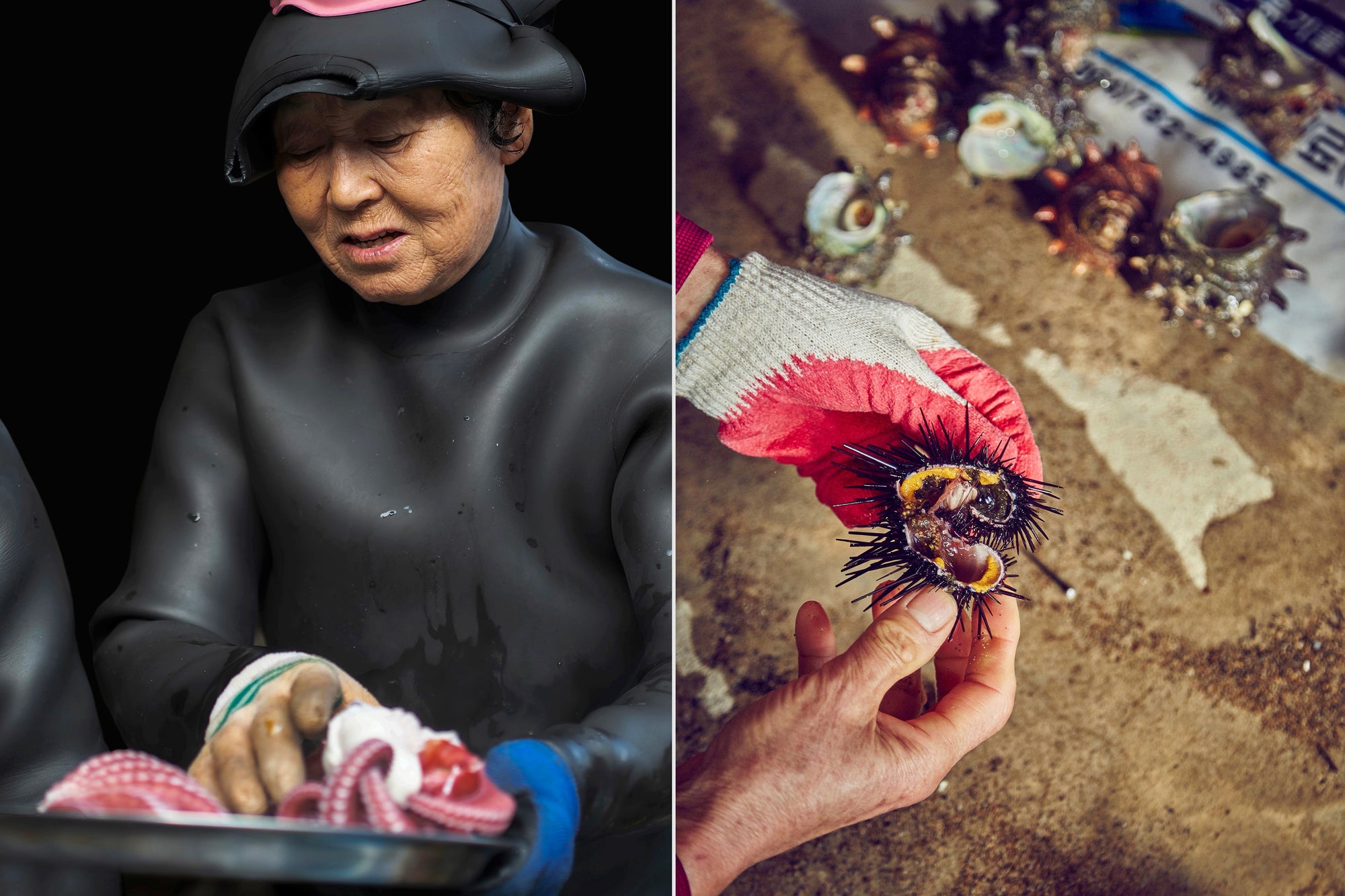 South Korean Haenyeo Divers’ Extreme Lifestyle Is Shaping Their ...