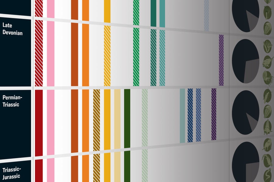 How Earth’s Biggest Mass Extinctions Stack Up | Scientific American