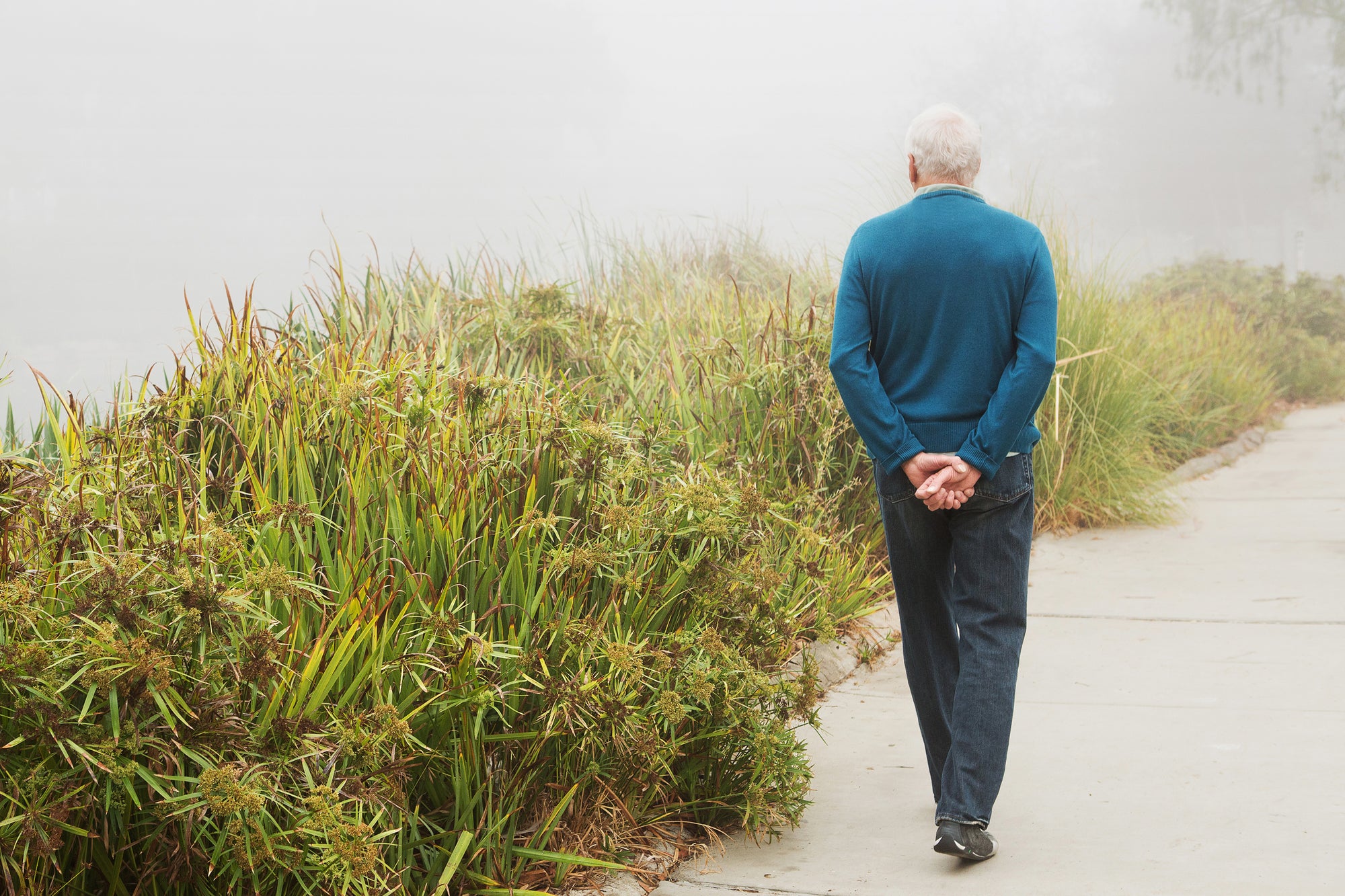 Controversial New Guidelines Would Diagnose Alzheimer’s before Symptoms ...