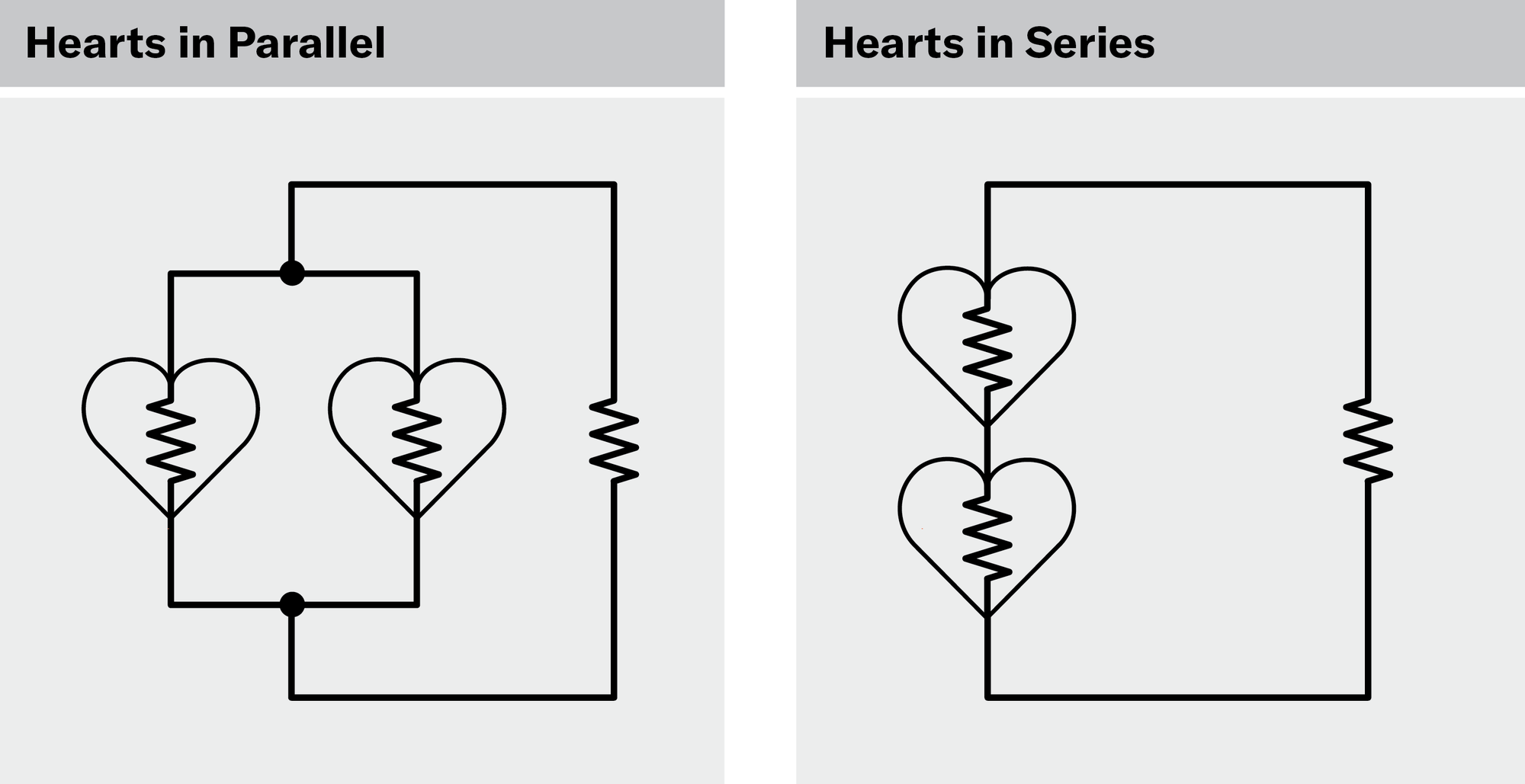 Doctor Who’s Time Lords Have Two Hearts. Here’s How Their Dual Cardiac ...