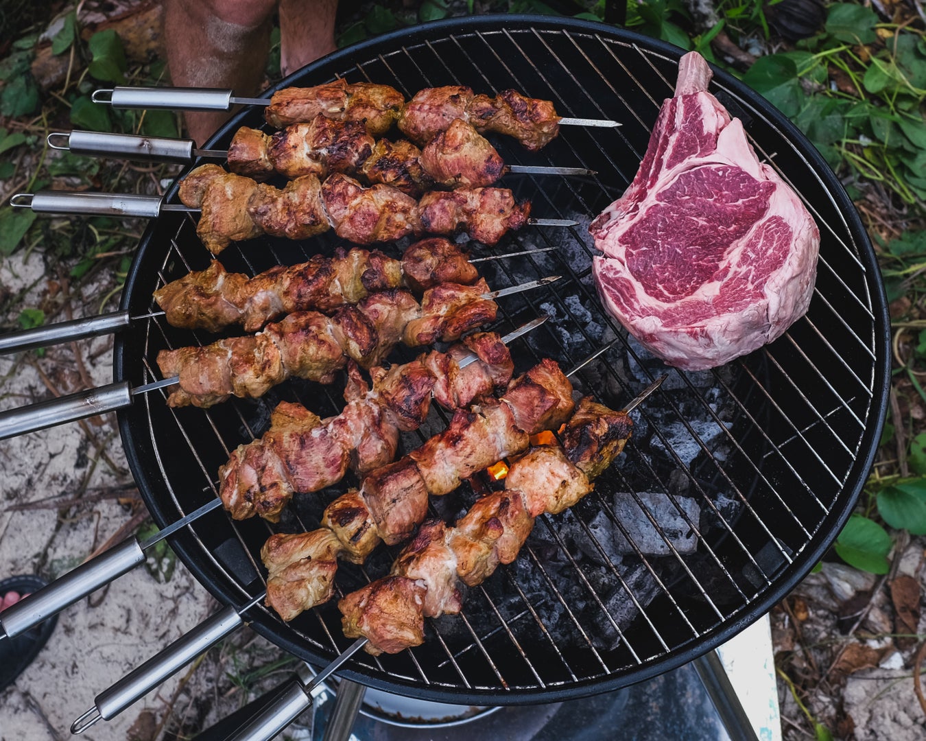 Why Can Beef Be Cooked Rare but Chicken Can’t? | Scientific American
