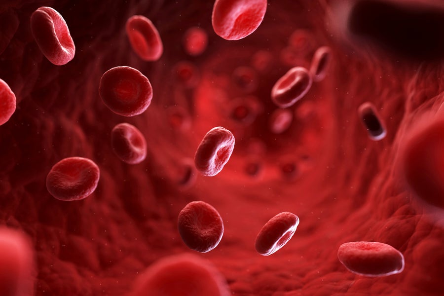 Doctors Discover New Blood Type—And Only One Person Has It | Scientific ...