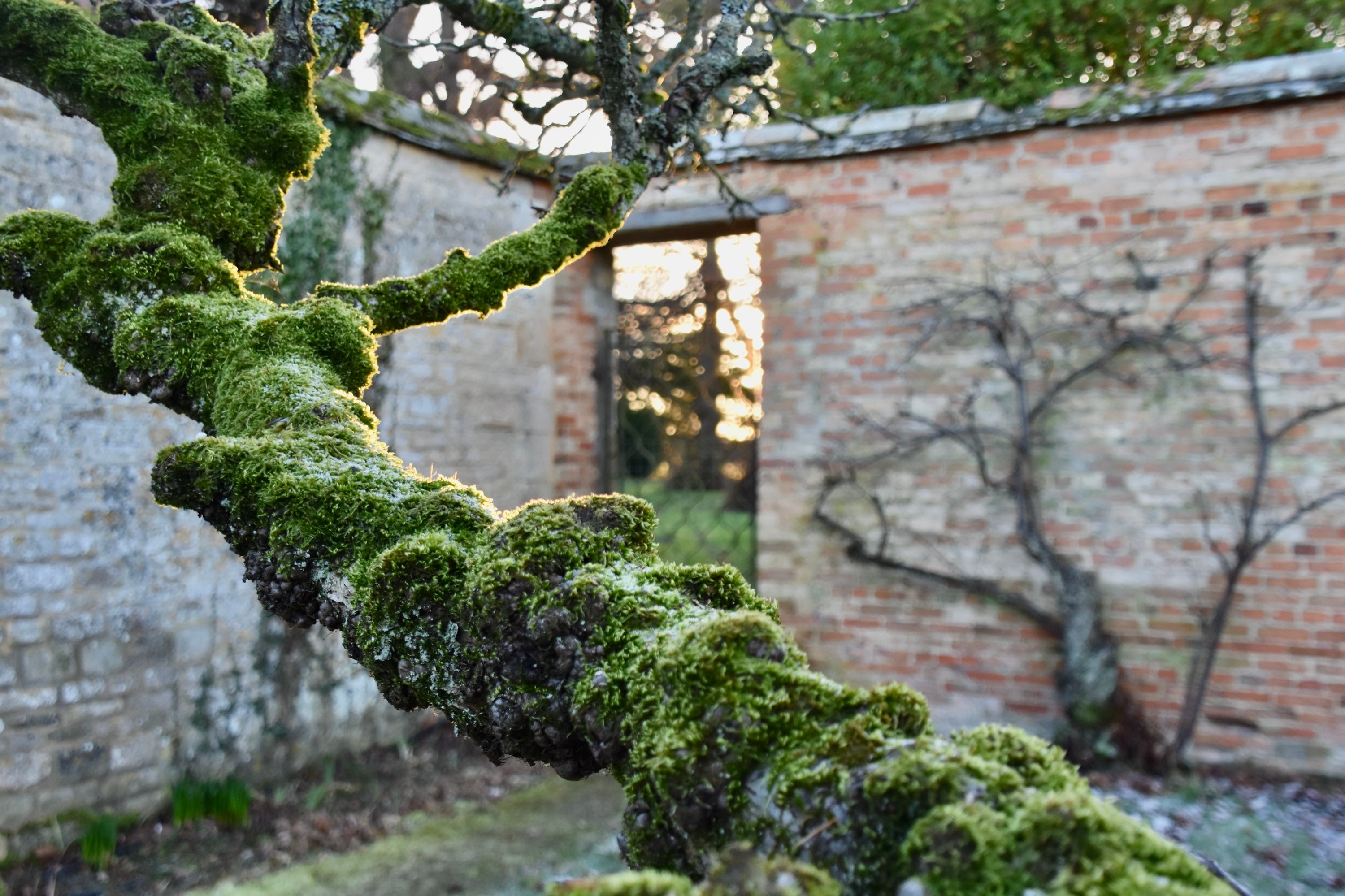 Math Puzzles | Scientific American