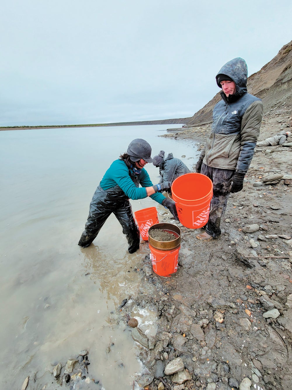 How Birds Began Migrating to the Arctic to Breed | Scientific American