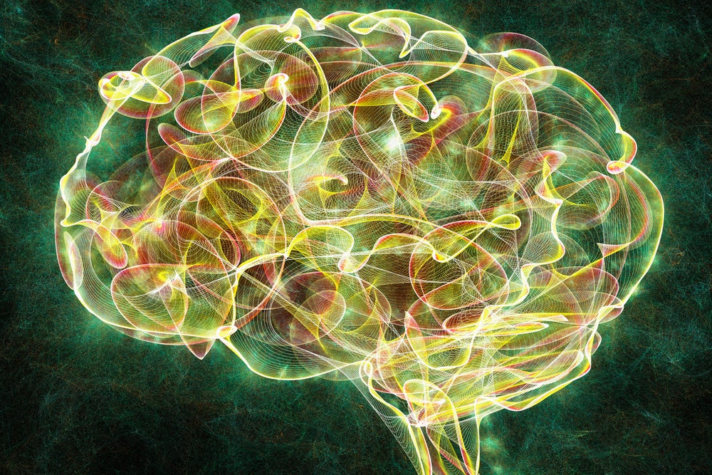 Addiction Risk Shows up in Children’s Brain Scans before Drug Use ...