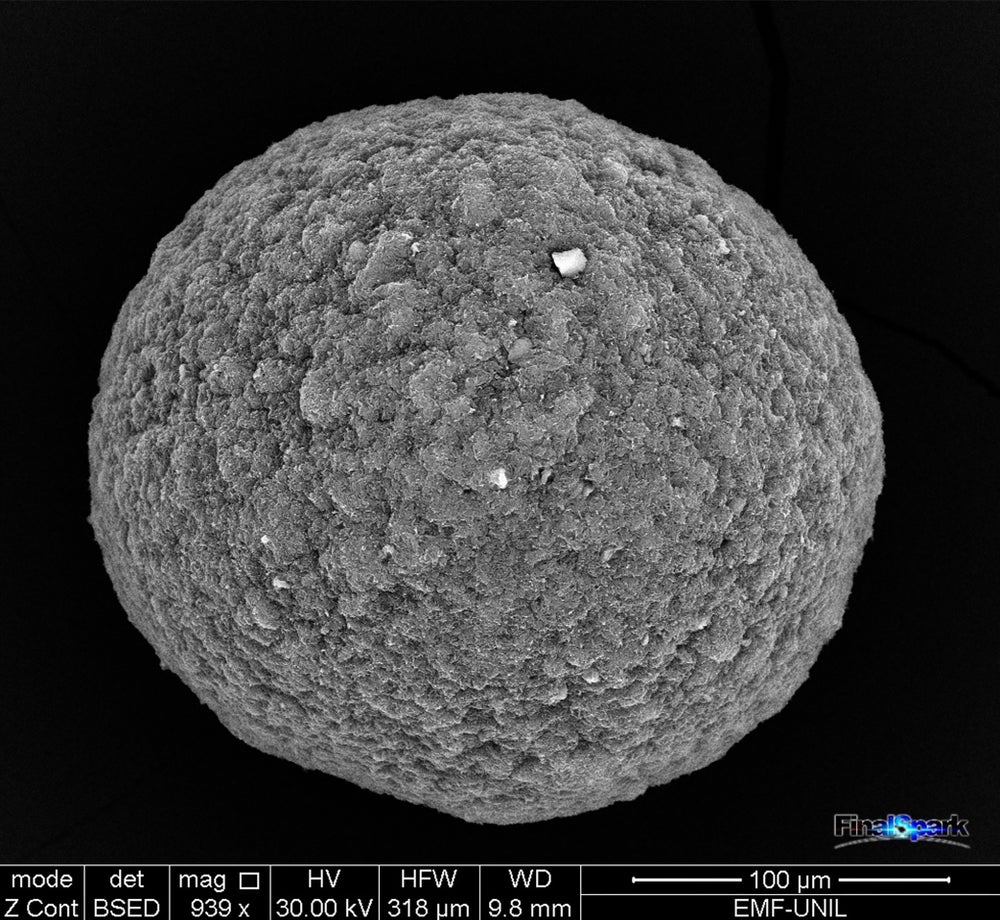 These Living Computers Are Made from Human Neurons | Scientific American