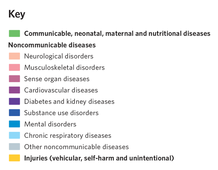 The Conditions that Keep Us from a Healthy Old Age | Scientific American