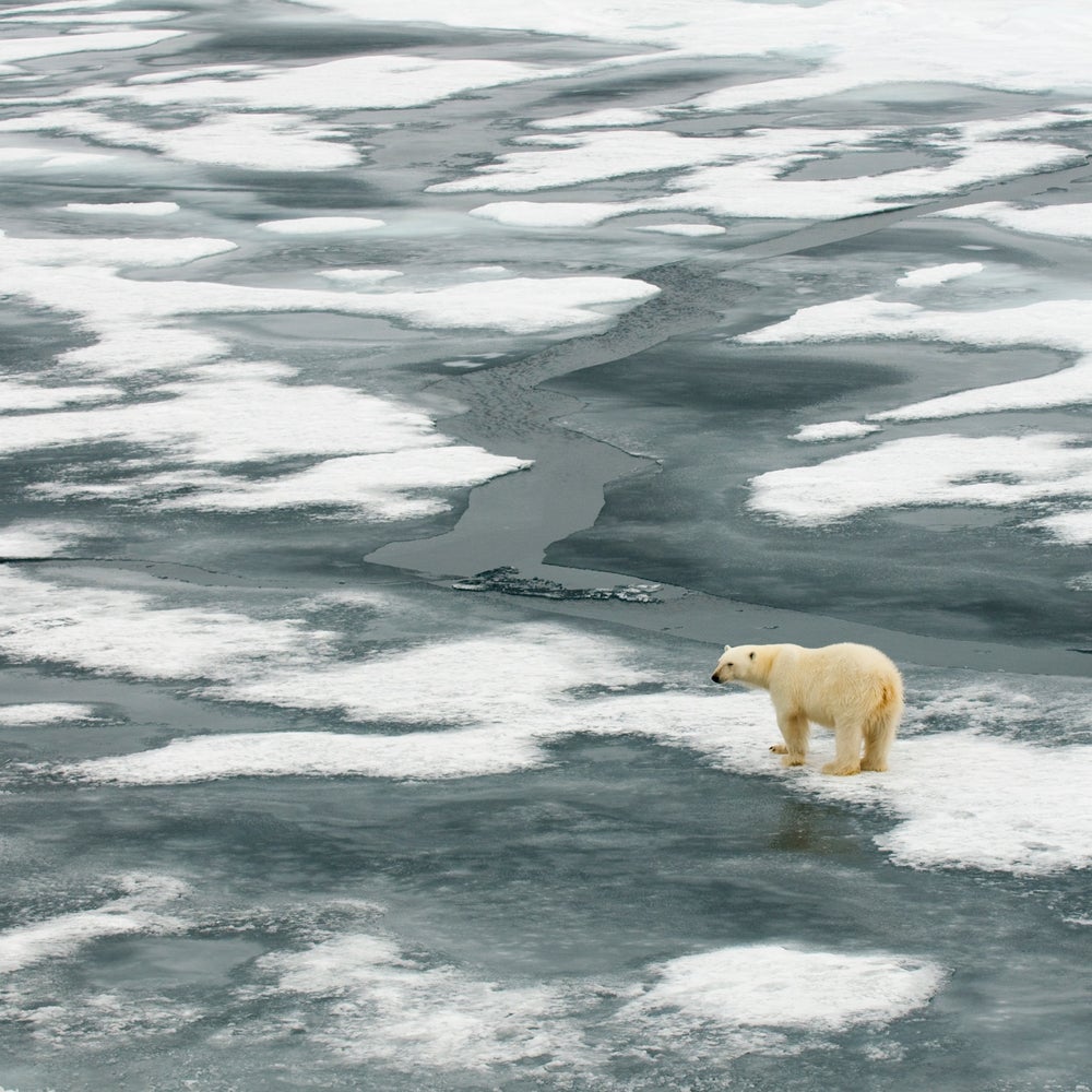 is there ice in the arctic