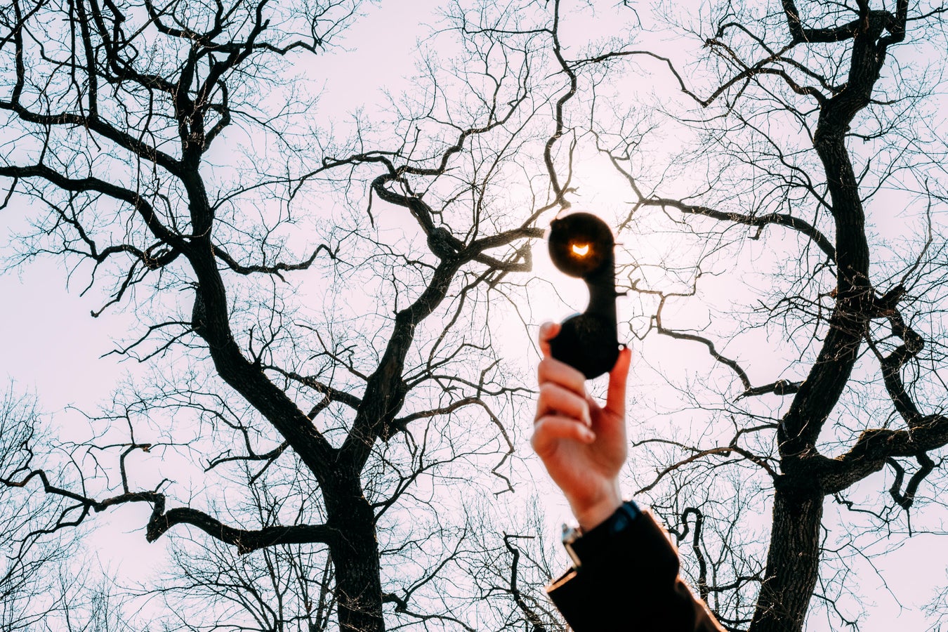 Are Your Solar Eclipse Glasses Fake? Here’s How to Check | Scientific ...