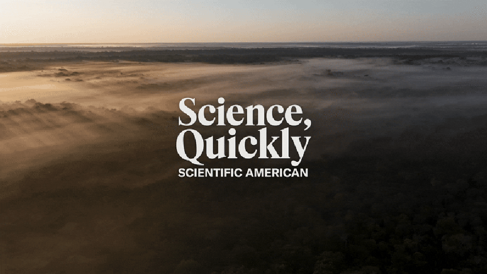 Will the Amazon Rain Forest Help Save the Planet? | Scientific American