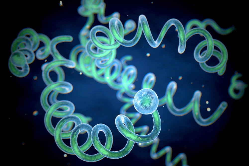 First At-Home Syphilis Test Approved by FDA amid Nationwide Syphilis ...