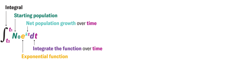 How Many People Have Ever Lived on Earth? | Scientific American