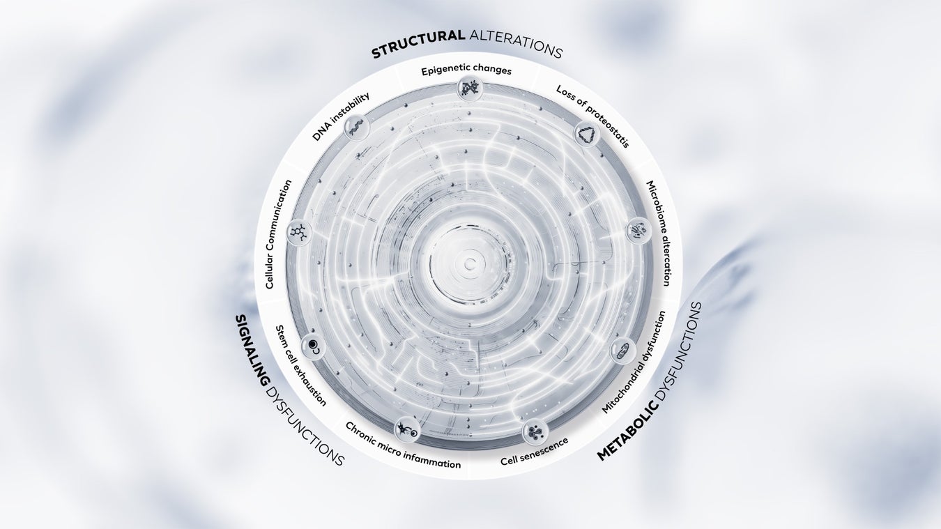 The Scientific Quest for Healthier Skin | Scientific American