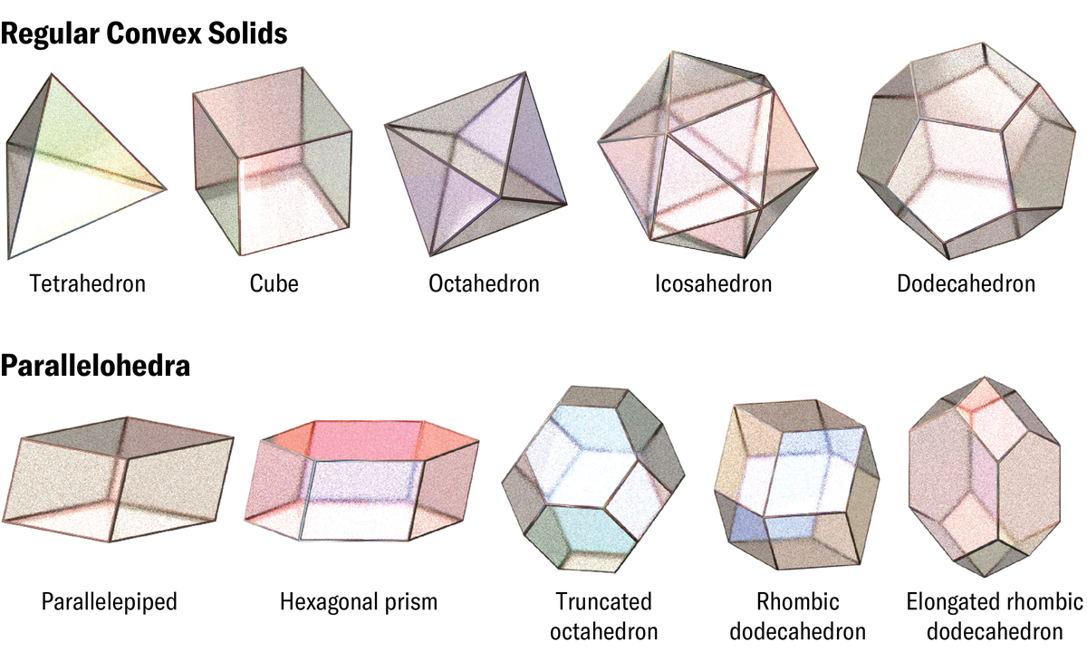 Mathematicians Discover a New Kind of Shape That’s All over Nature ...
