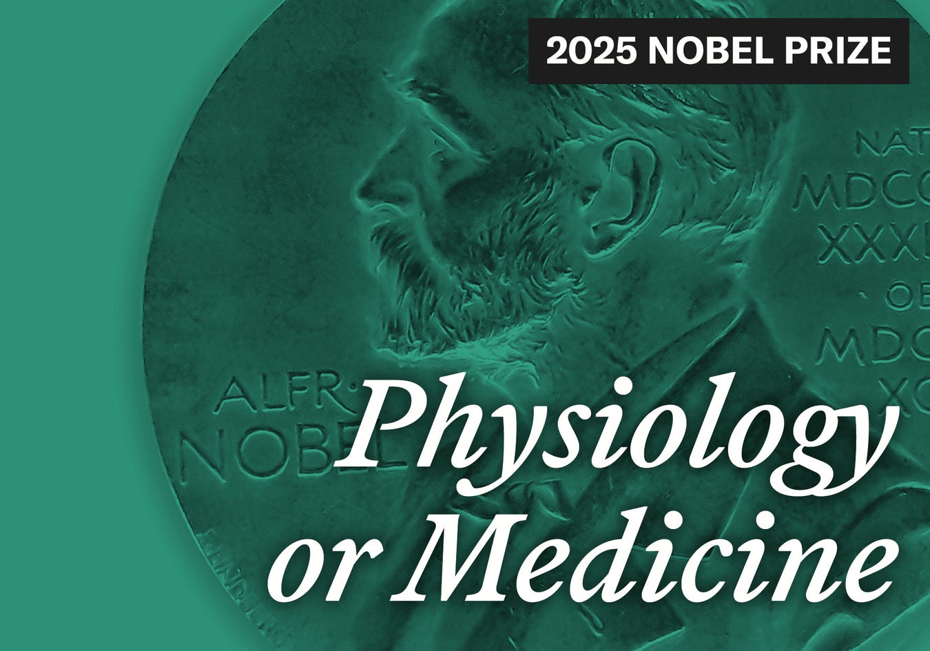 2025 Nobel Prize in Physiology or Medicine Awarded for Discoveries Key to Treating Autoimmune ...