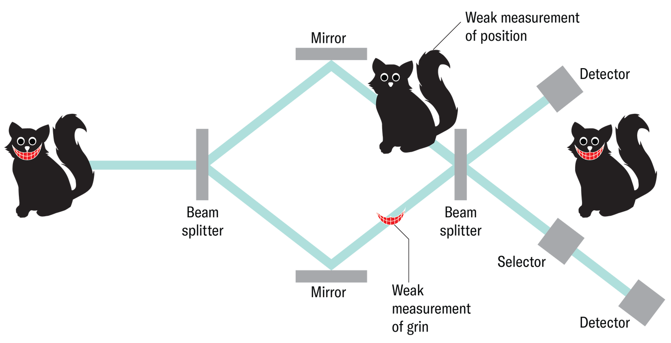 A New Quantum Cheshire Cat Thought Experiment Is Out of the Box ...