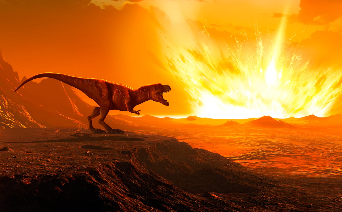 Asteroid That Killed the Dinosaurs Came from beyond Jupiter | Scientific American