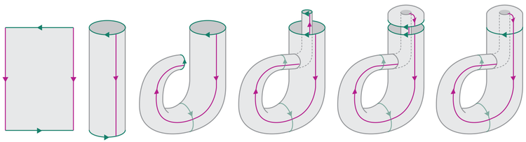 Two Möbius Strips Combine to Create a Bizarre Object That Only Exists ...