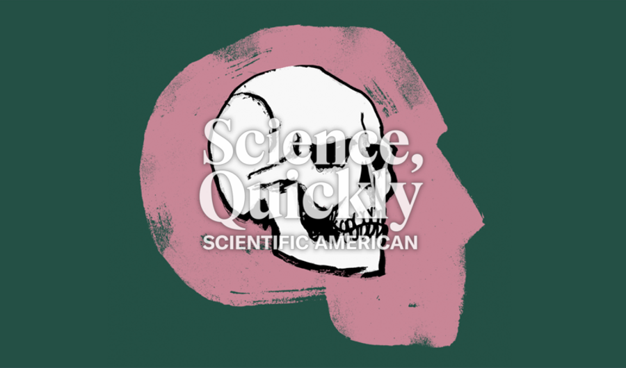 Is This the Earliest Evidence of Human Cannibalism? | Scientific American