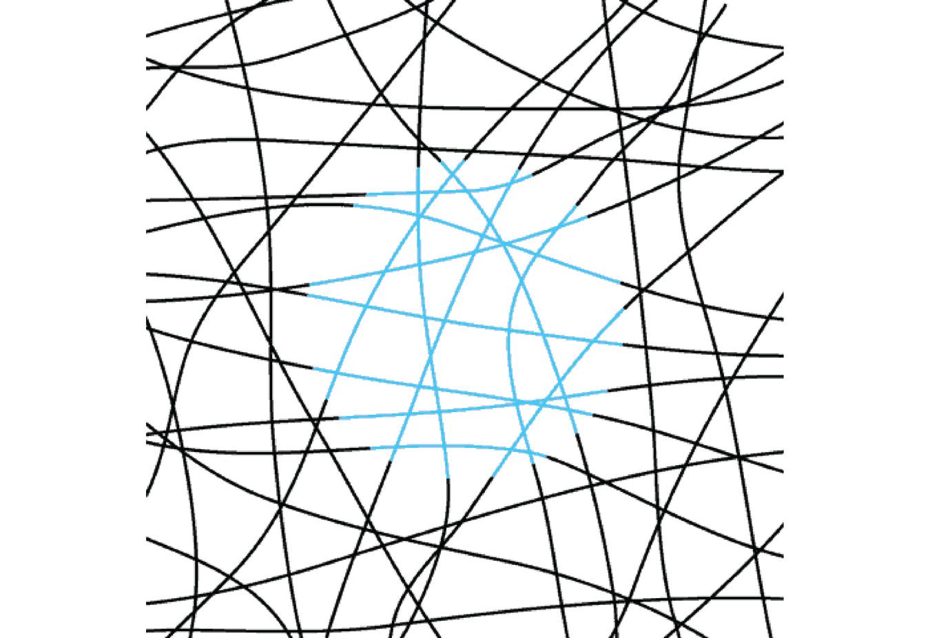 Studying Mouse Reactions to an Optical Illusion Can Teach Us about ...