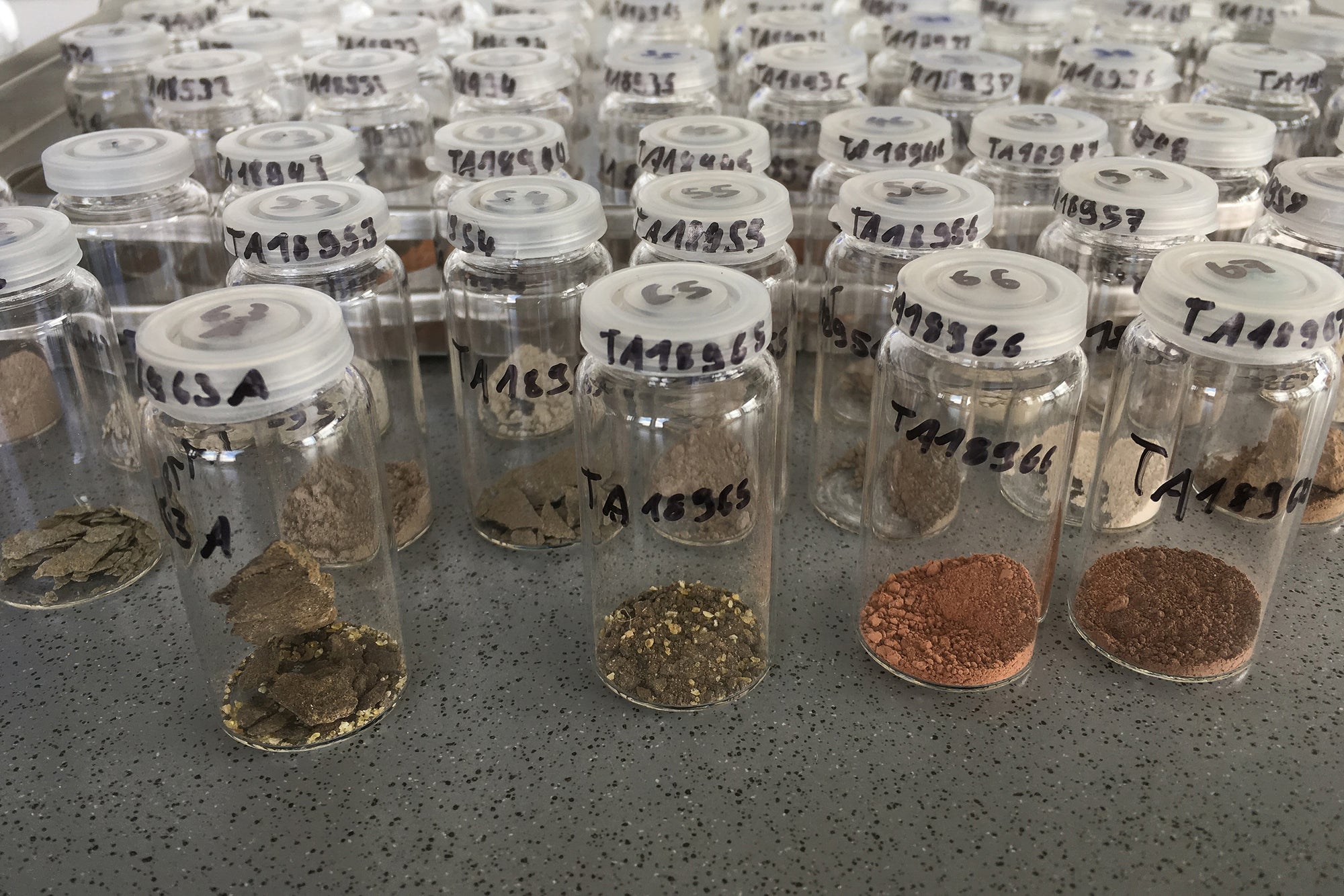 History smelled. Here’s how we’re sniffing it out | Scientific American