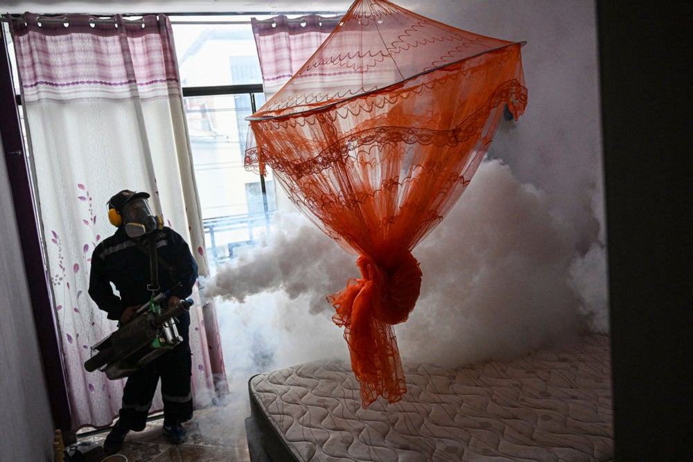 A Dengue Fever Outbreak Is Setting Records in the Americas | Scientific ...