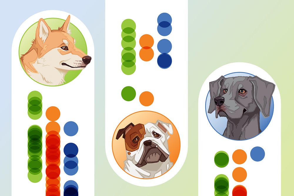 Which dog breed stereotypes are true? Here’s the science | Scientific ...