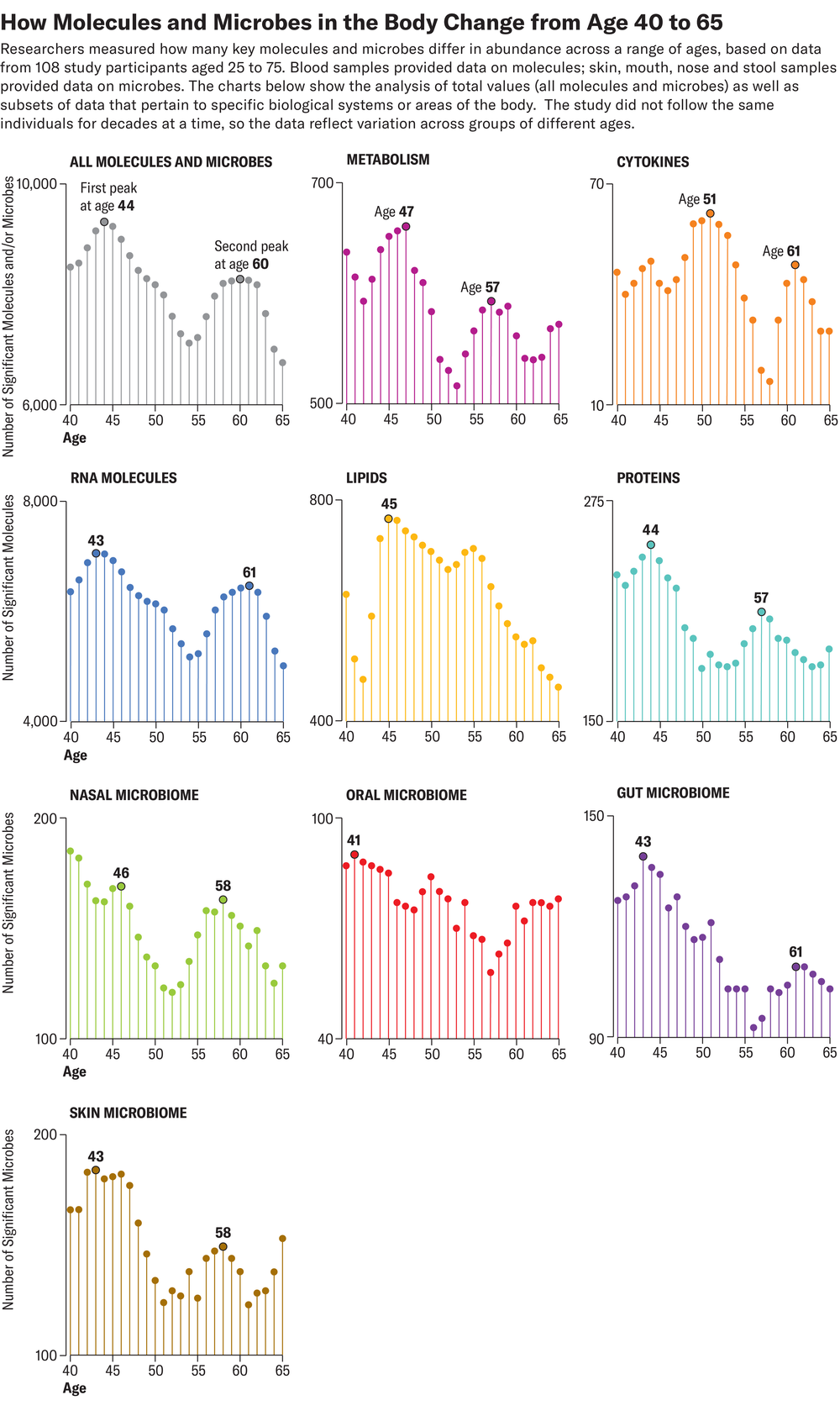 Drastic Molecular Shifts in People’s 40s and 60s Might Explain Age ...