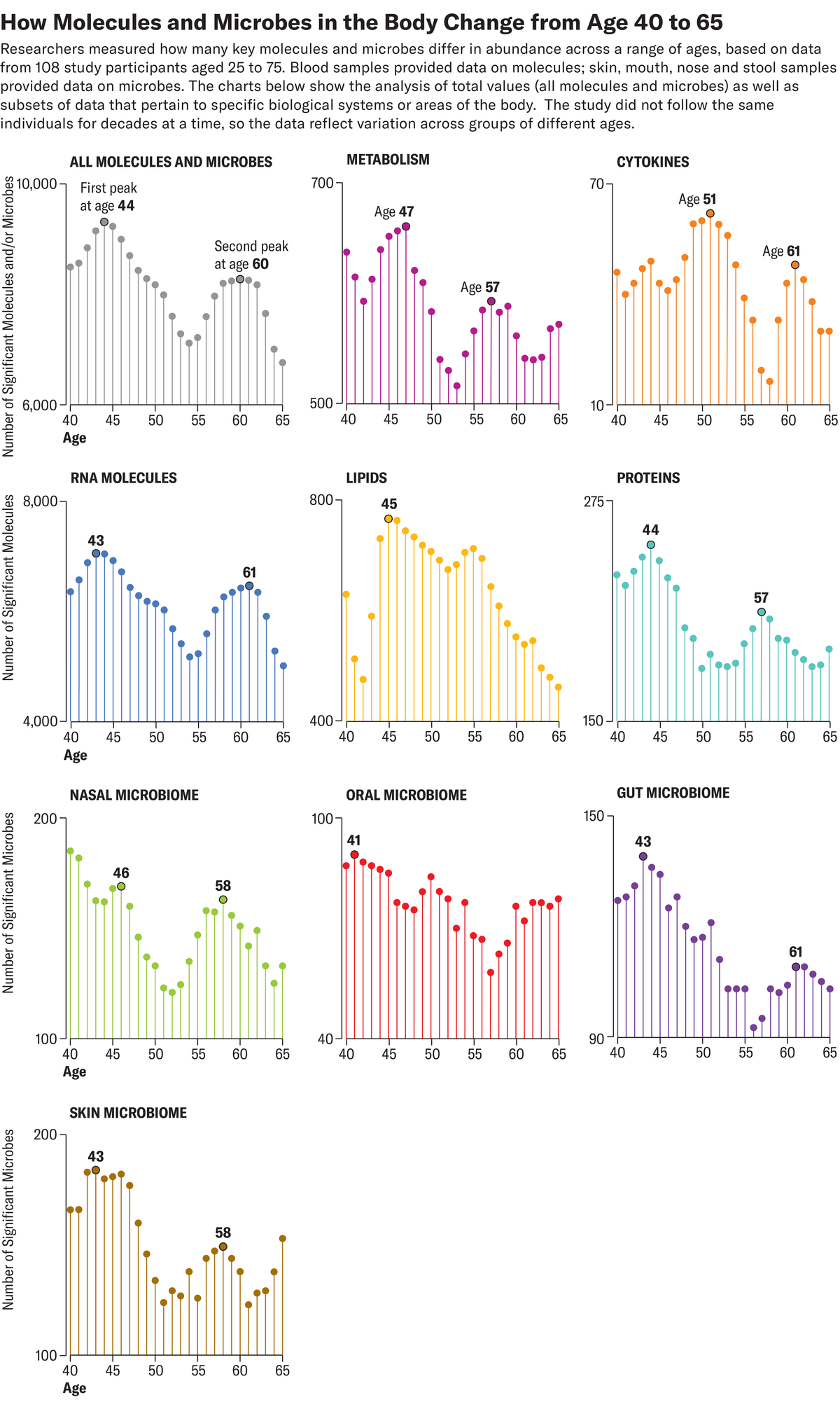 Drastic Molecular Shifts in People’s 40s and 60s Might Explain Age ...