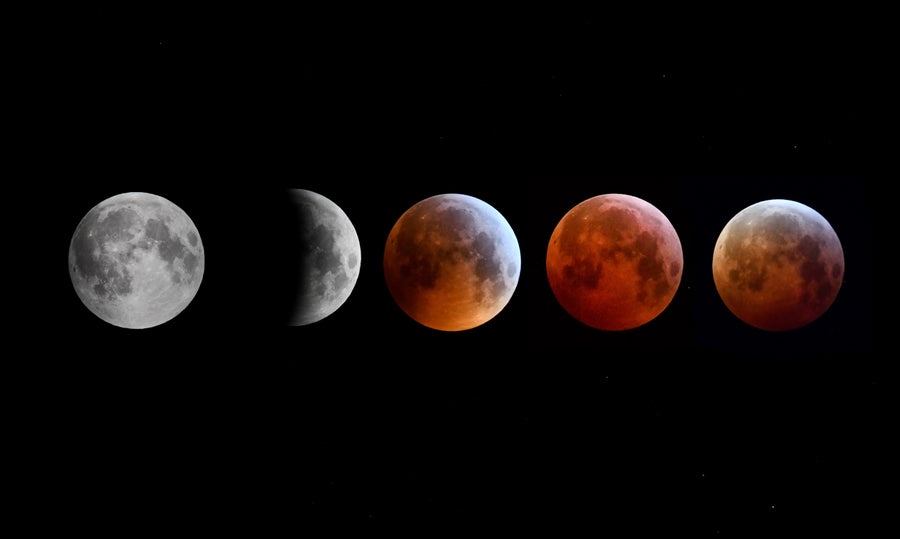 The Best Skywatching and Stargazing Events of 2026 | Scientific American