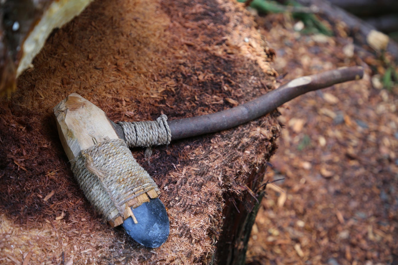 Archaeologists Recreate Prehistoric Tools to Build a Canoe for 140-Mile ...