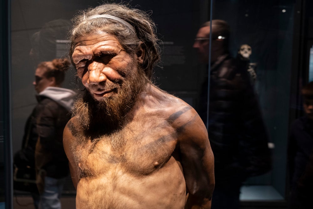 Male Neanderthals and female humans likely interbred more often than ...