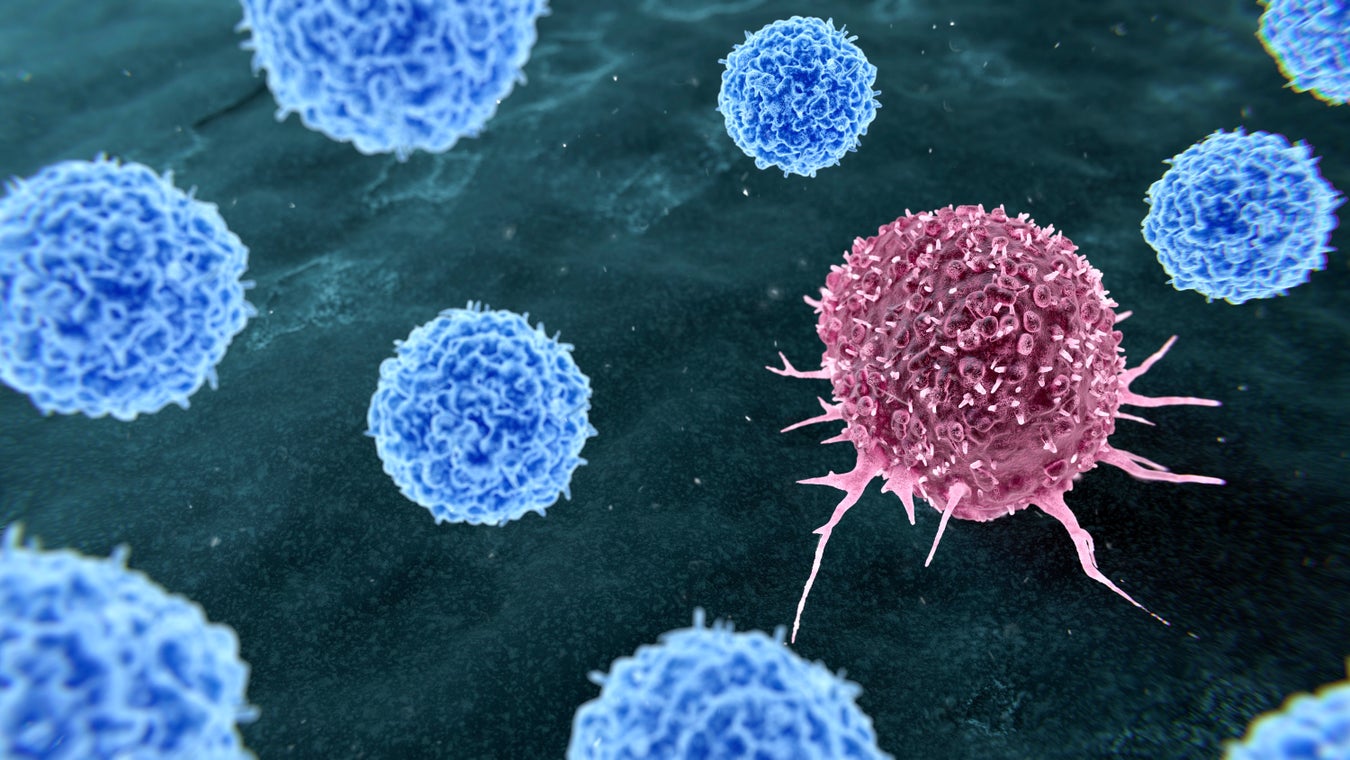 These two habits are linked to many cancer cases | Scientific American