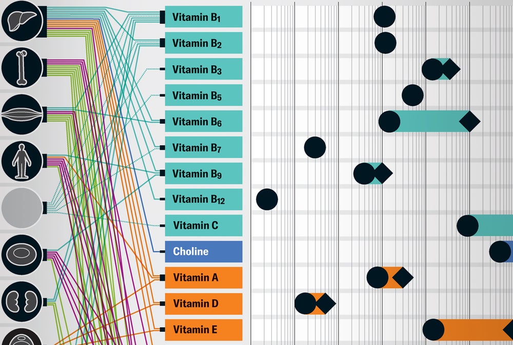 What Vitamins and Minerals Really Do in Your Body | Scientific American