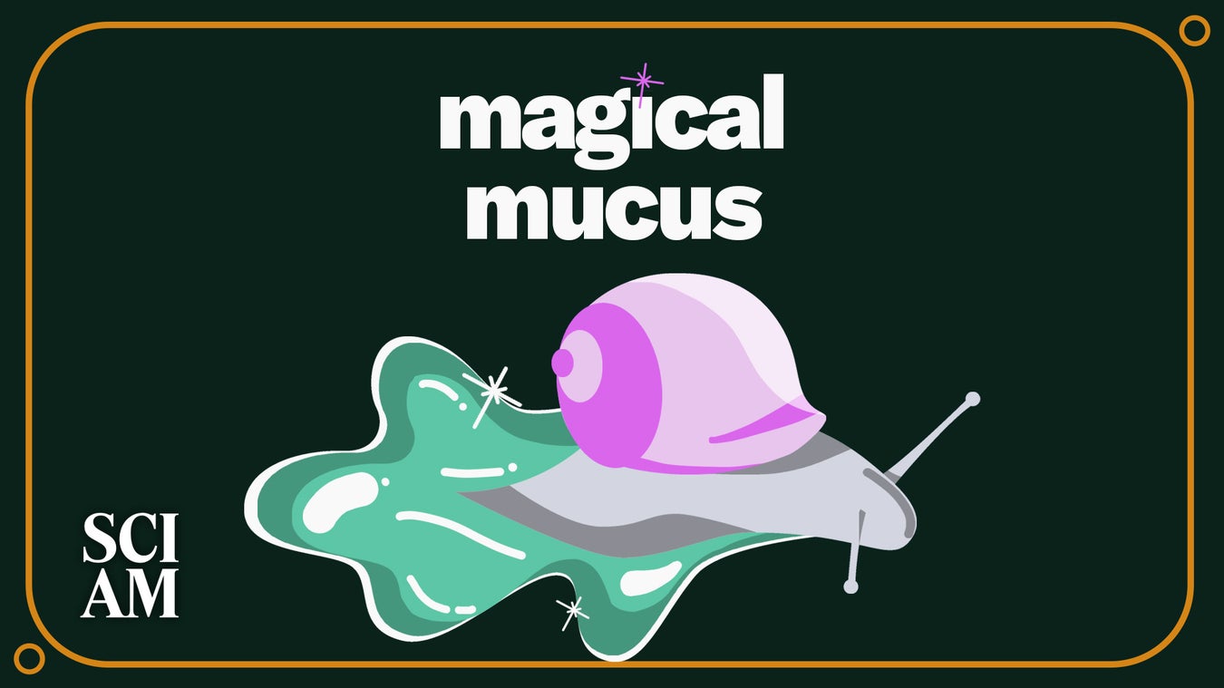 The Tale of the Snail Slime Wrangler | Scientific American