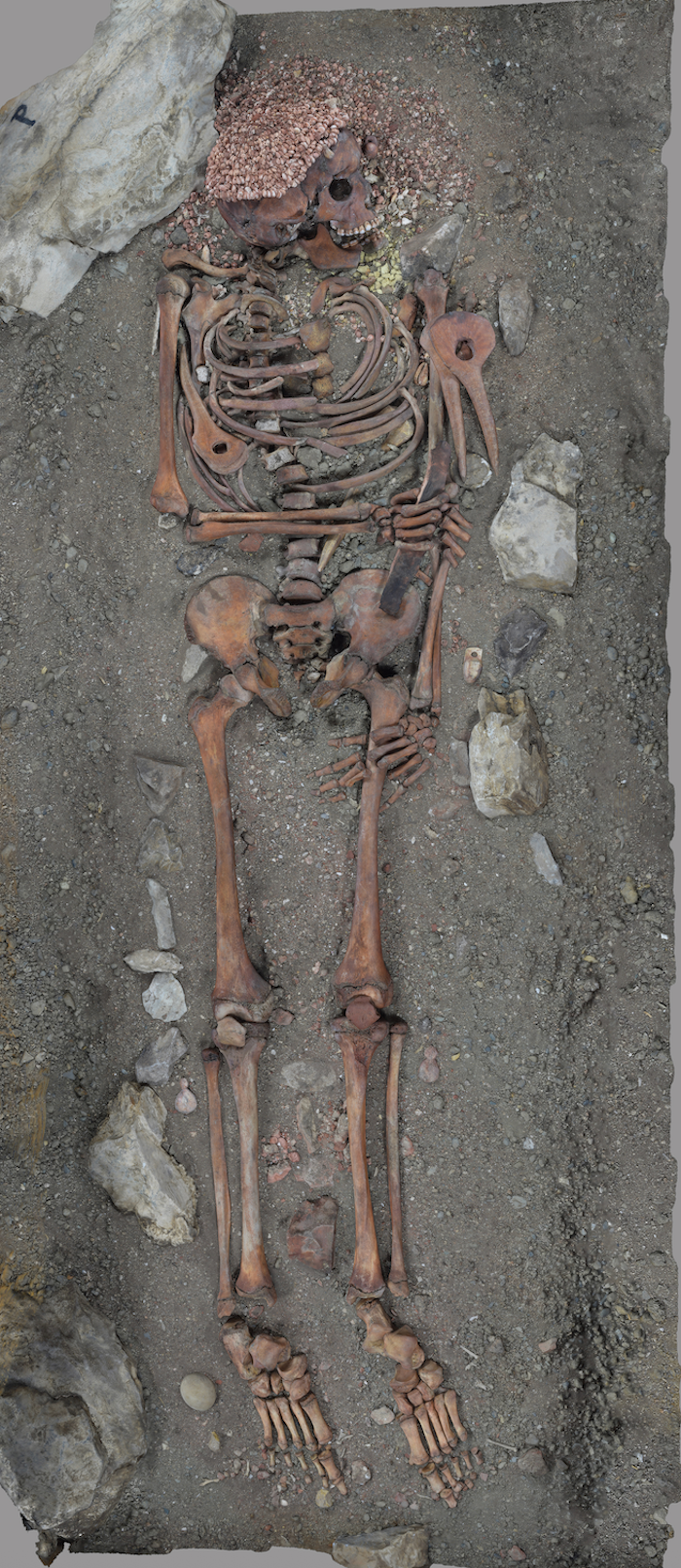 A foraging teenager was mauled by a bear 27,000 years ago, skeleton ...