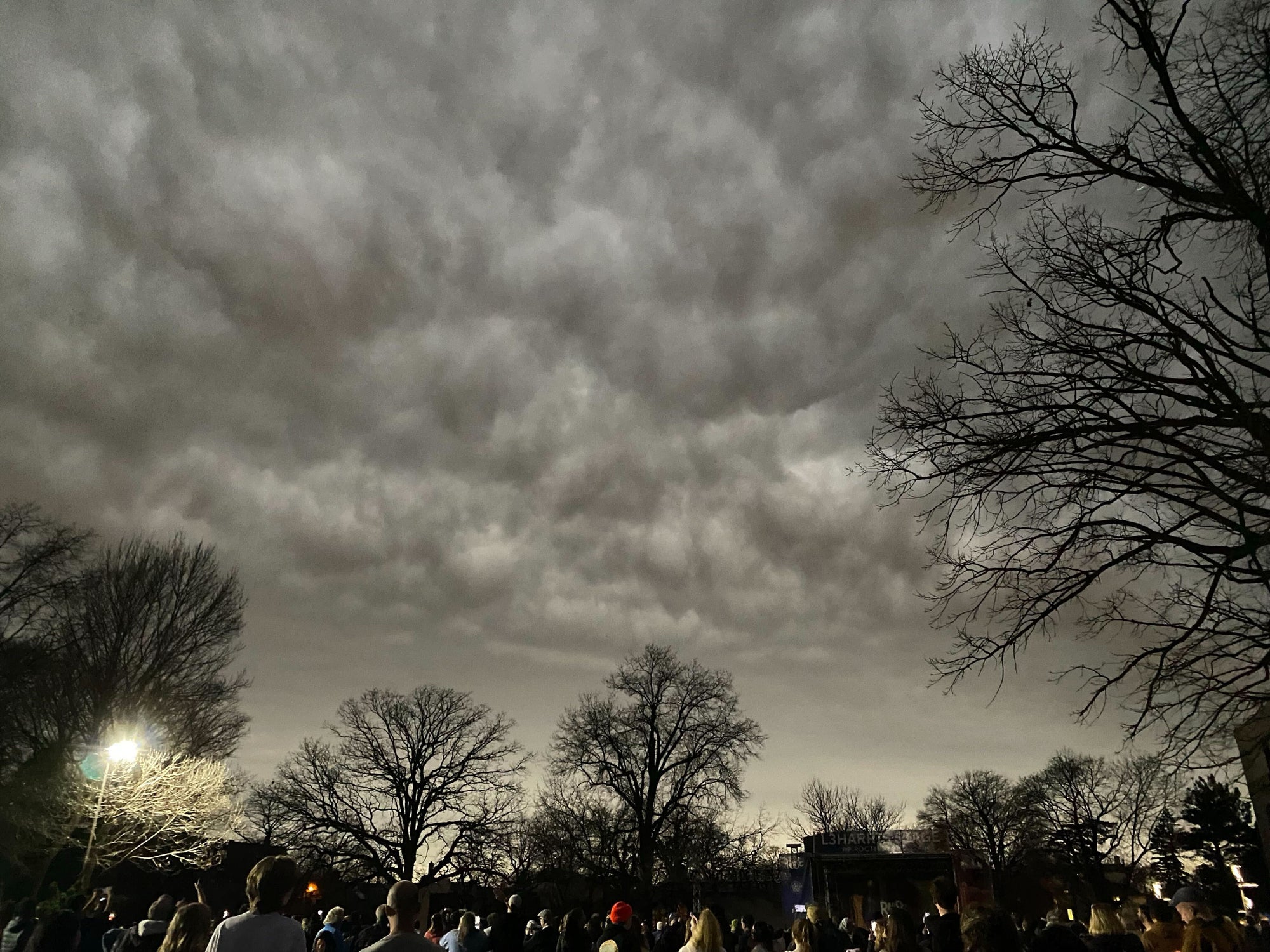 See Stunning Images Captured by Scientific American Staff during the ...