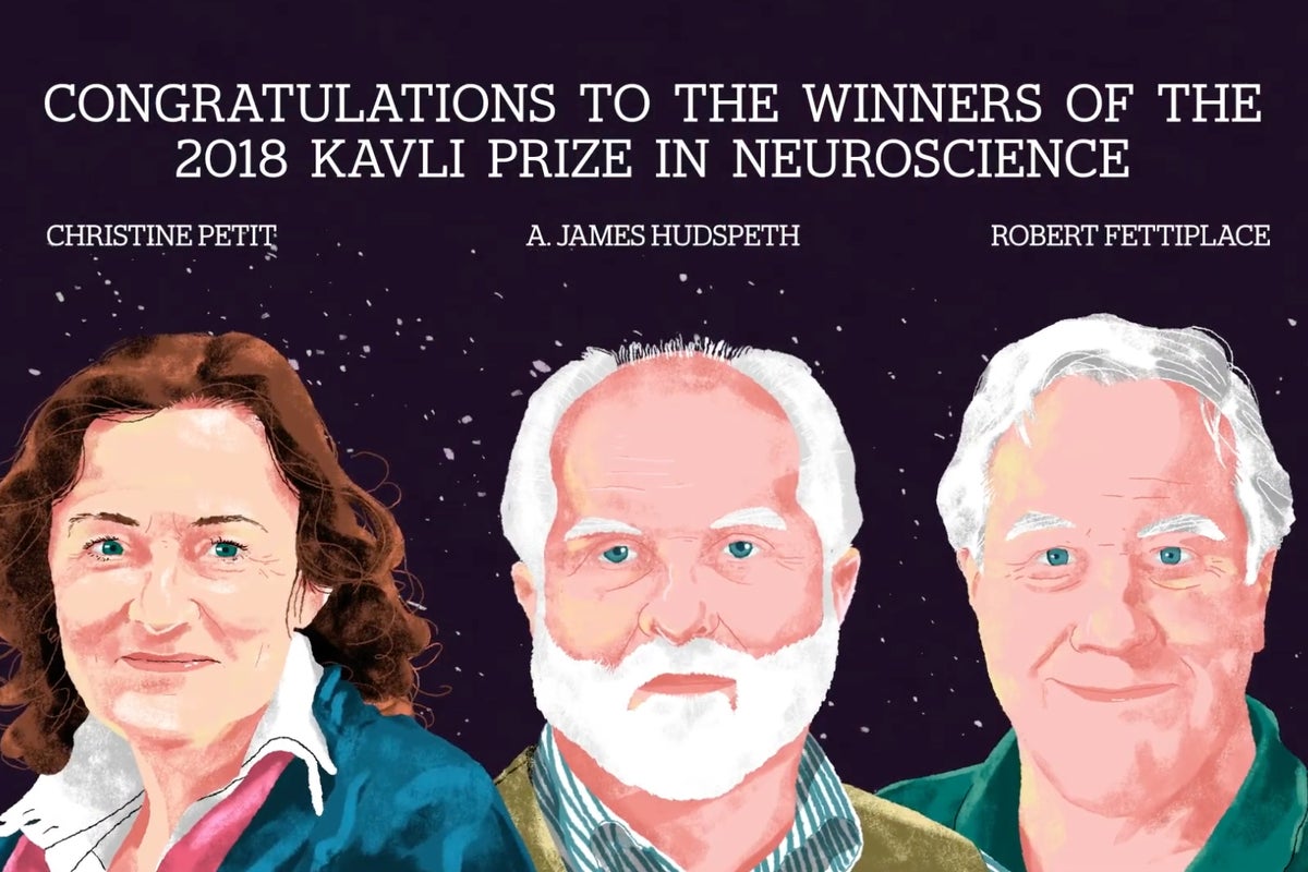 How Do Our Ears Make Sense of Sound? | Scientific American