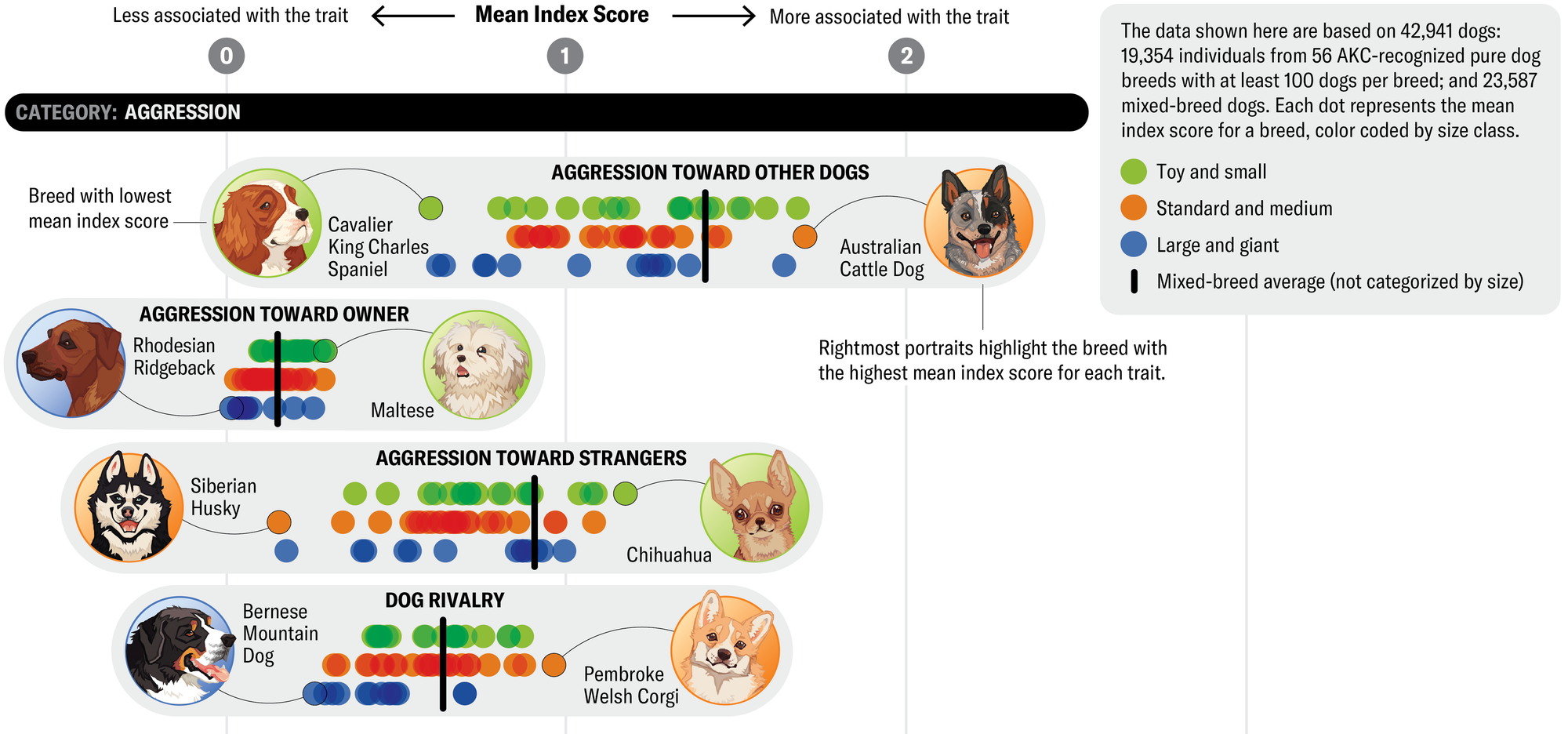 Which dog breed stereotypes are true? Here’s the science