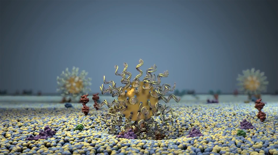 The Kavli Prize Presents: Building Materials From The Bottom Up ...