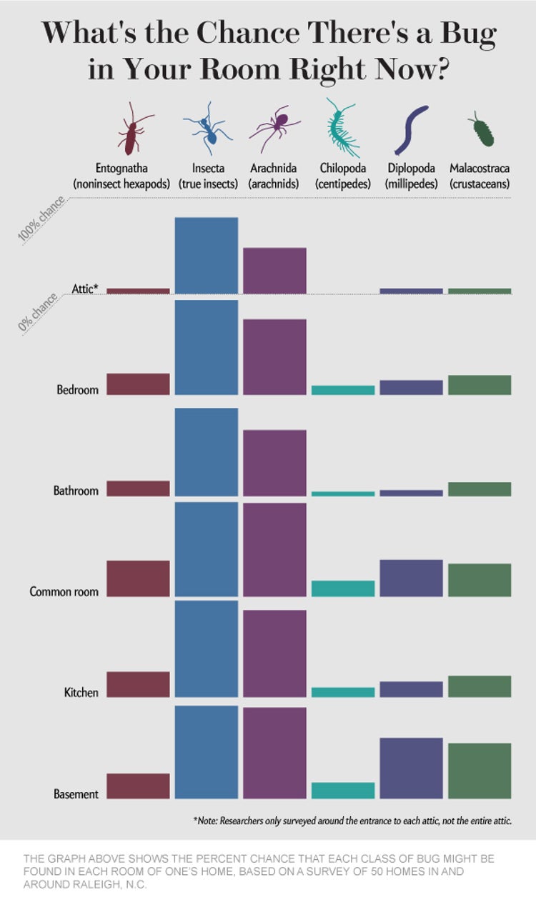 The Walls Have Compound Eyes: Most Households Teem with Insect Life ...
