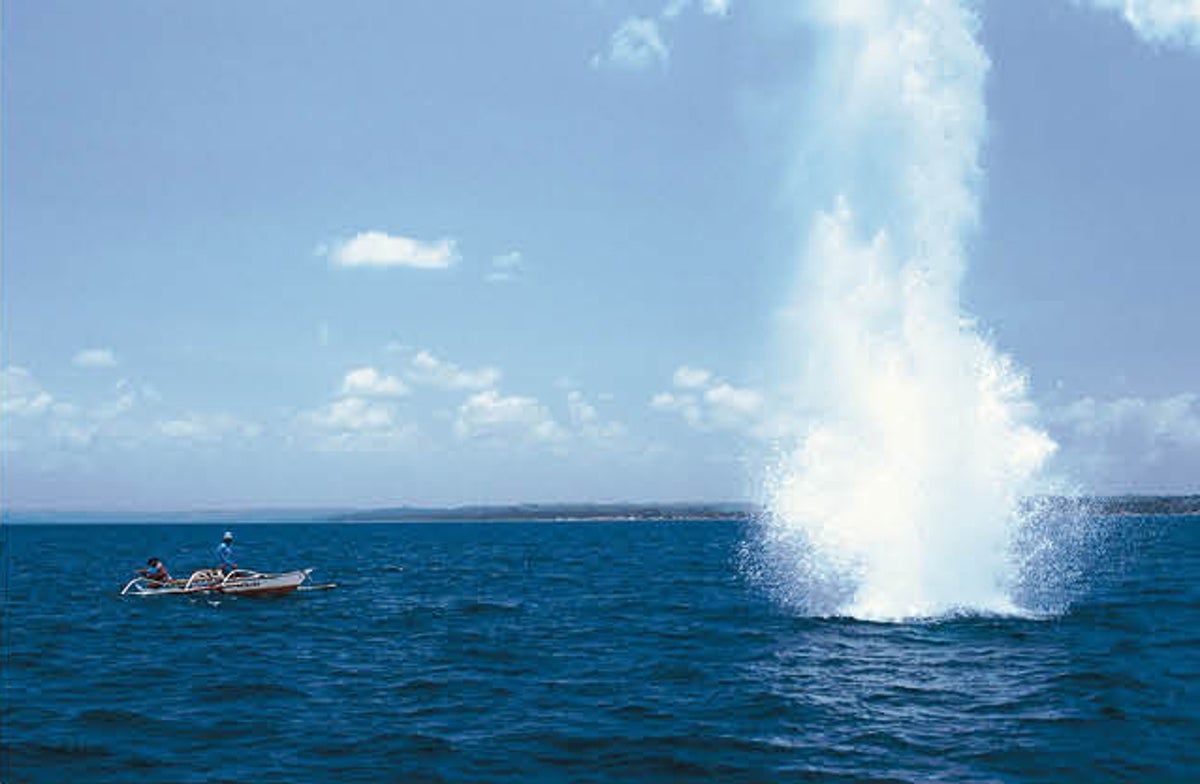 Gunshot Sensors Pinpoint Destructive "Fish Bombs" | Scientific American