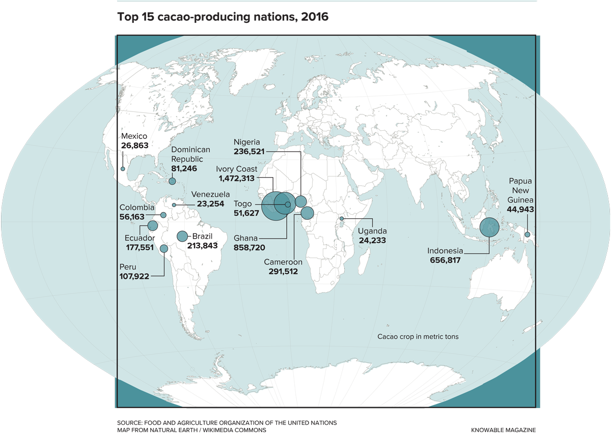 Searching for Chocolate's Roots, and Enemies, in Colombia's Wilderness ...